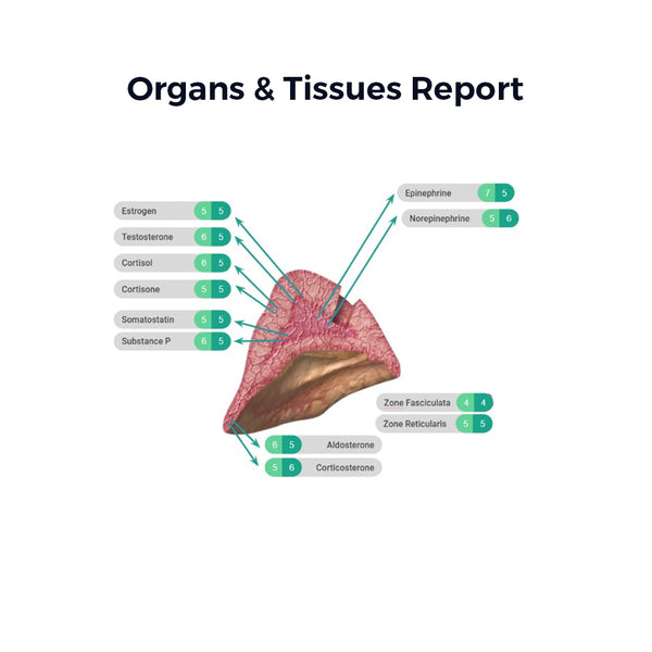 ClearSCAN Remote - ClearCompanies